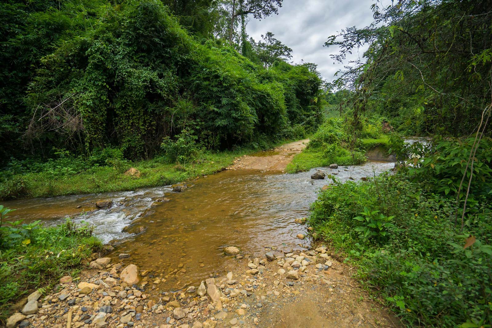 A Shortcut through the Jungle - On Trails - Overland Travel and Photography